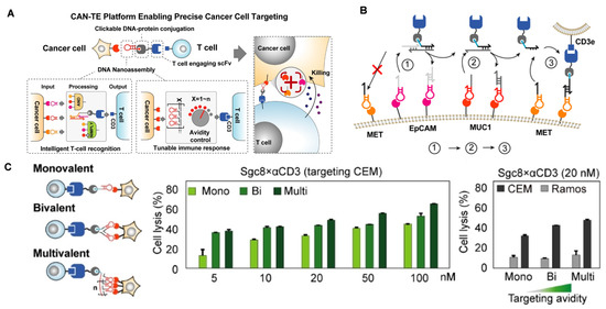 Aptamer-Based Immune Drug Systems (AptIDCs) Potentiating Cancer ...