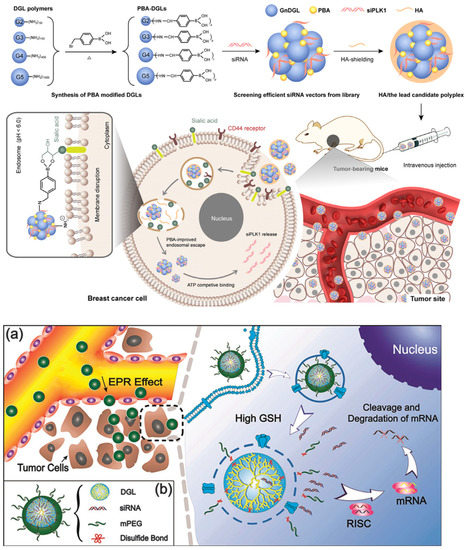 Peptide-Based Vectors for Gene Delivery