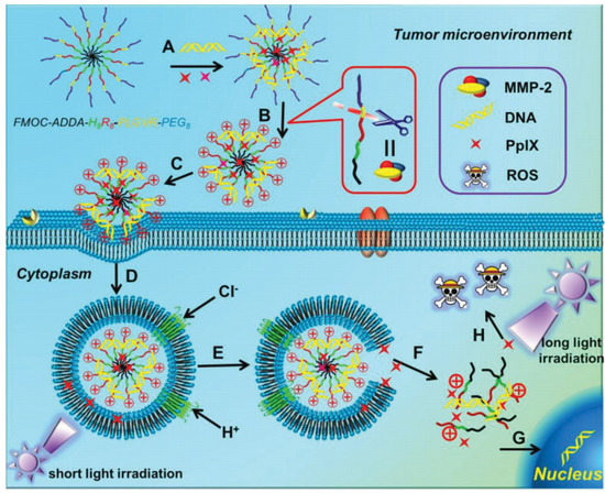 Peptide-Based Vectors for Gene Delivery