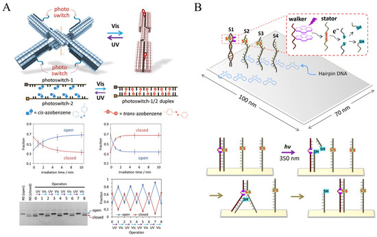 Recent Advances in Dynamic DNA Nanodevice