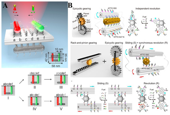 Recent Advances in Dynamic DNA Nanodevice