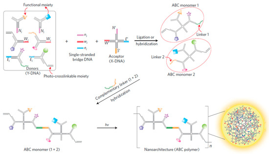 Self-Assembled DNA Nanospheres: Design and Applications