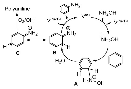 Direct Aniline Formation with Benzene and Hydroxylamine