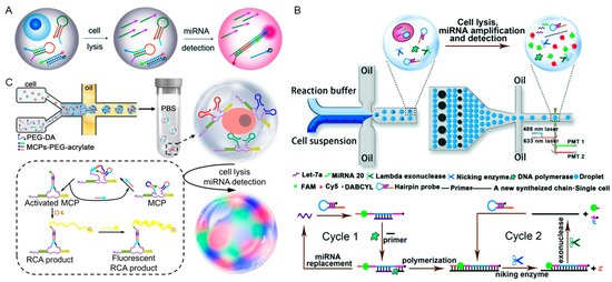 Responsive DNA Nanostructures for Bioanalysis and Therapy