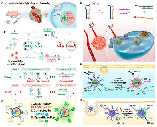 Responsive DNA Nanostructures for Bioanalysis and Therapy