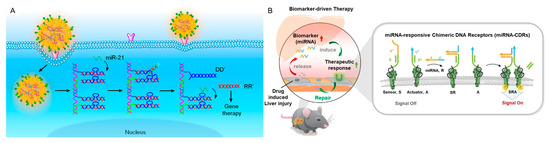 Responsive DNA Nanostructures for Bioanalysis and Therapy