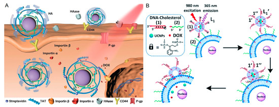 Responsive DNA Nanostructures for Bioanalysis and Therapy