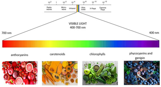 Dyes Are the Rainbow of Our Health