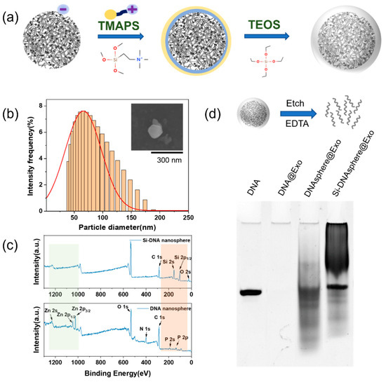 Condensed DNA Nanosphere for DNA Origami Cryptography