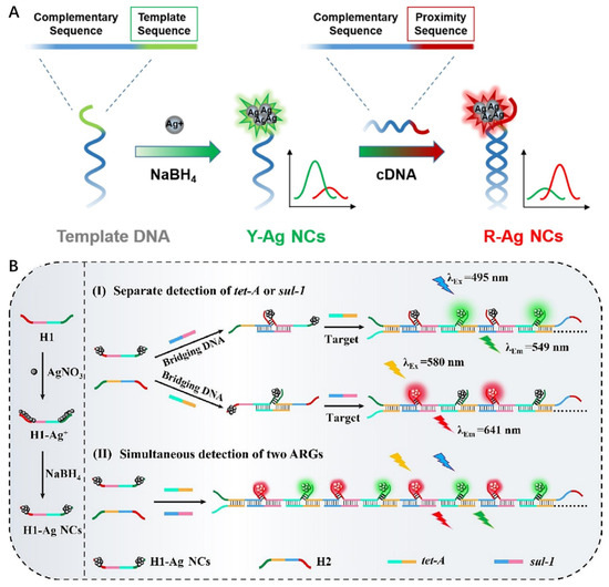 Recent Advances in the Preparation and Application of DNA-Encoded Metal ...
