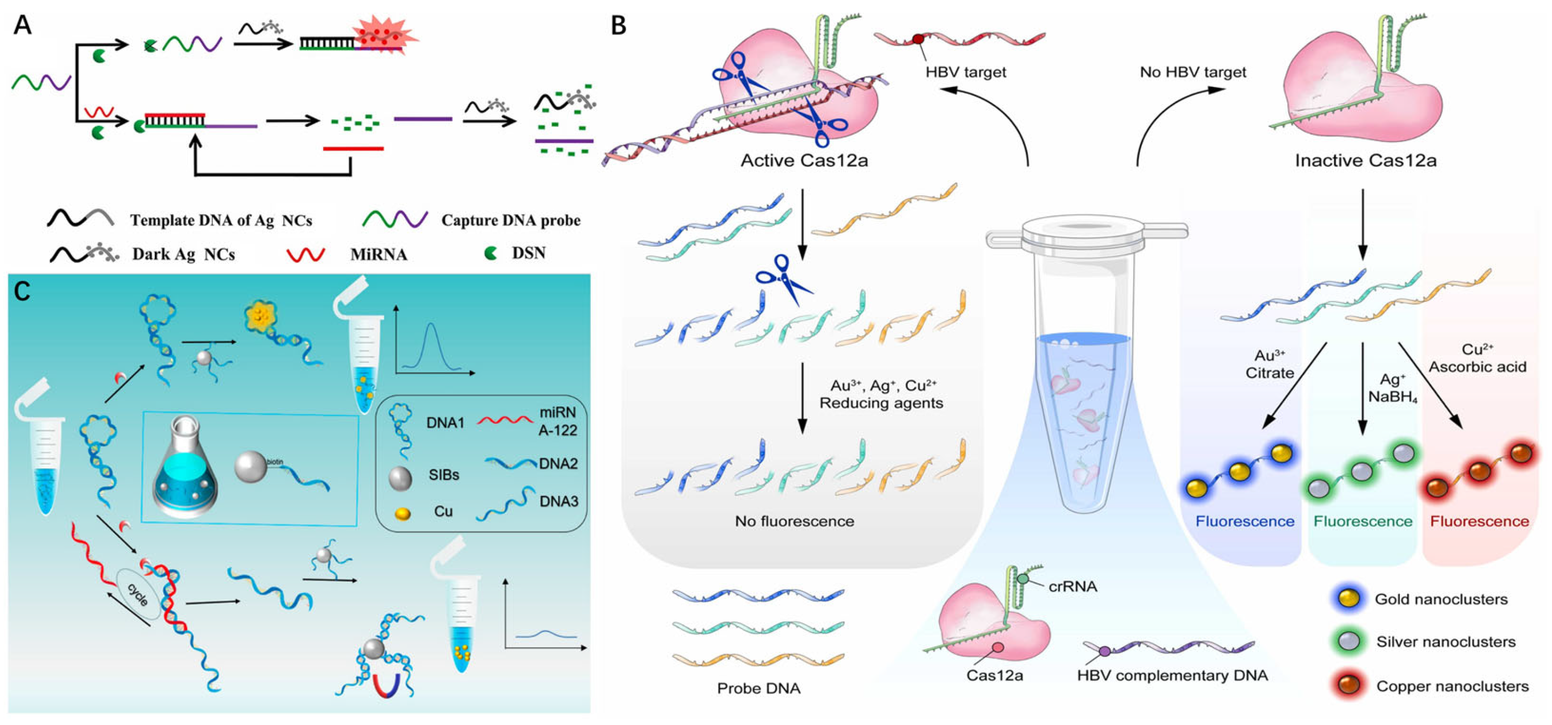Recent Advances in the Preparation and Application of DNA-Encoded Metal ...