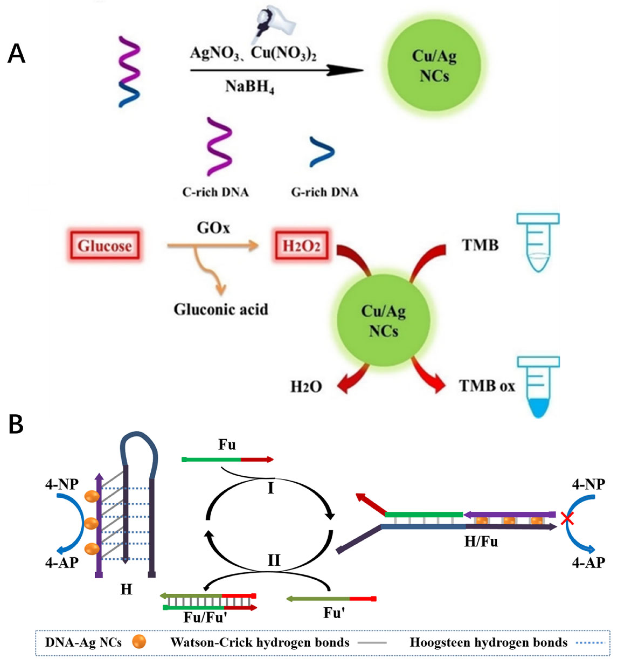 Recent Advances in the Preparation and Application of DNA-Encoded Metal ...