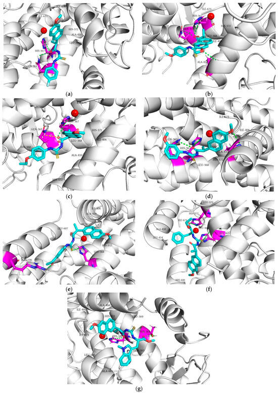 Biological Applications of Thiourea Derivatives: Detailed Review