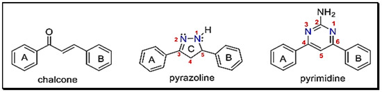 Biological Applications of Thiourea Derivatives: Detailed Review
