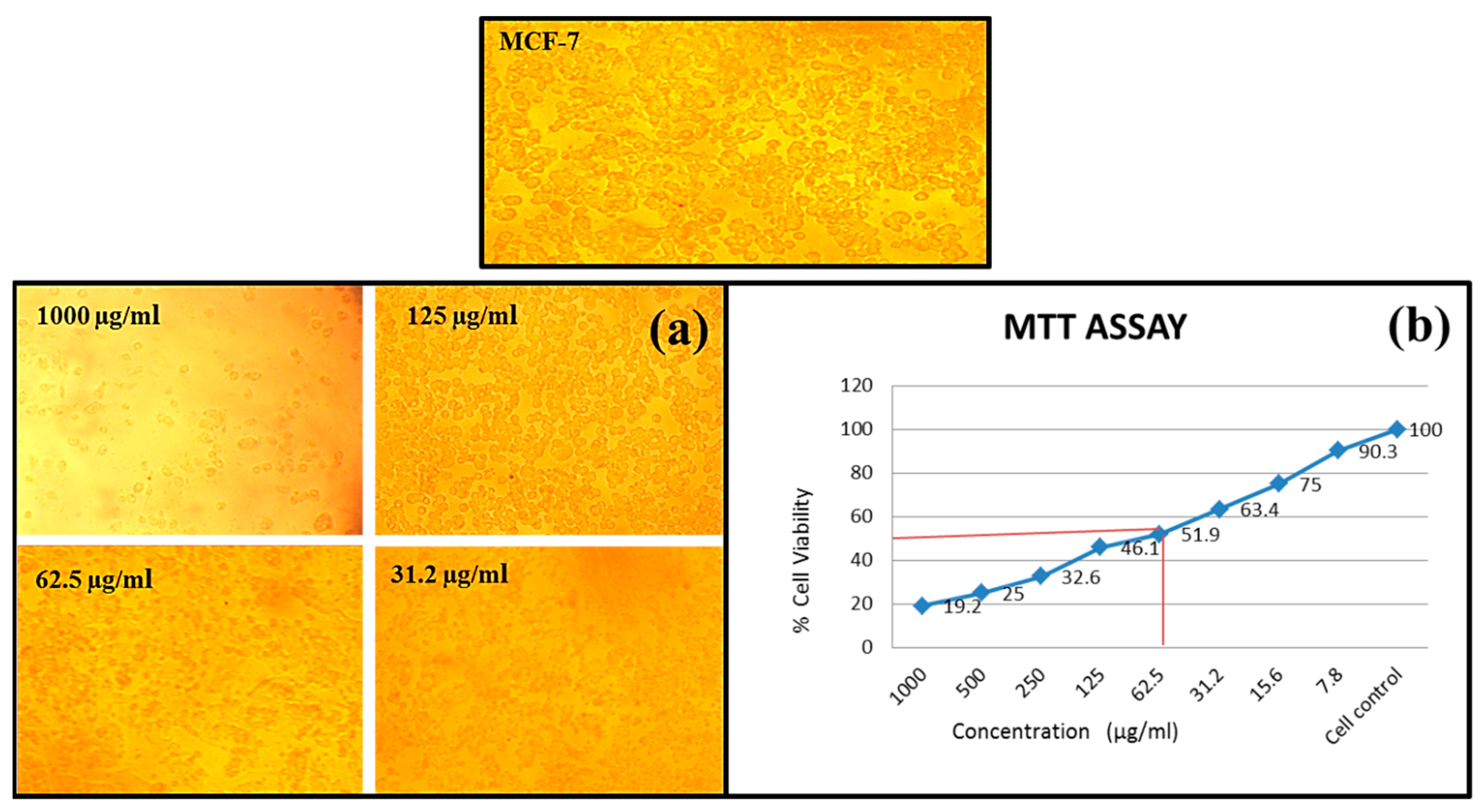 Simplified Synthesis of Dicoumarol-Based Copolyester for Anticancer ...