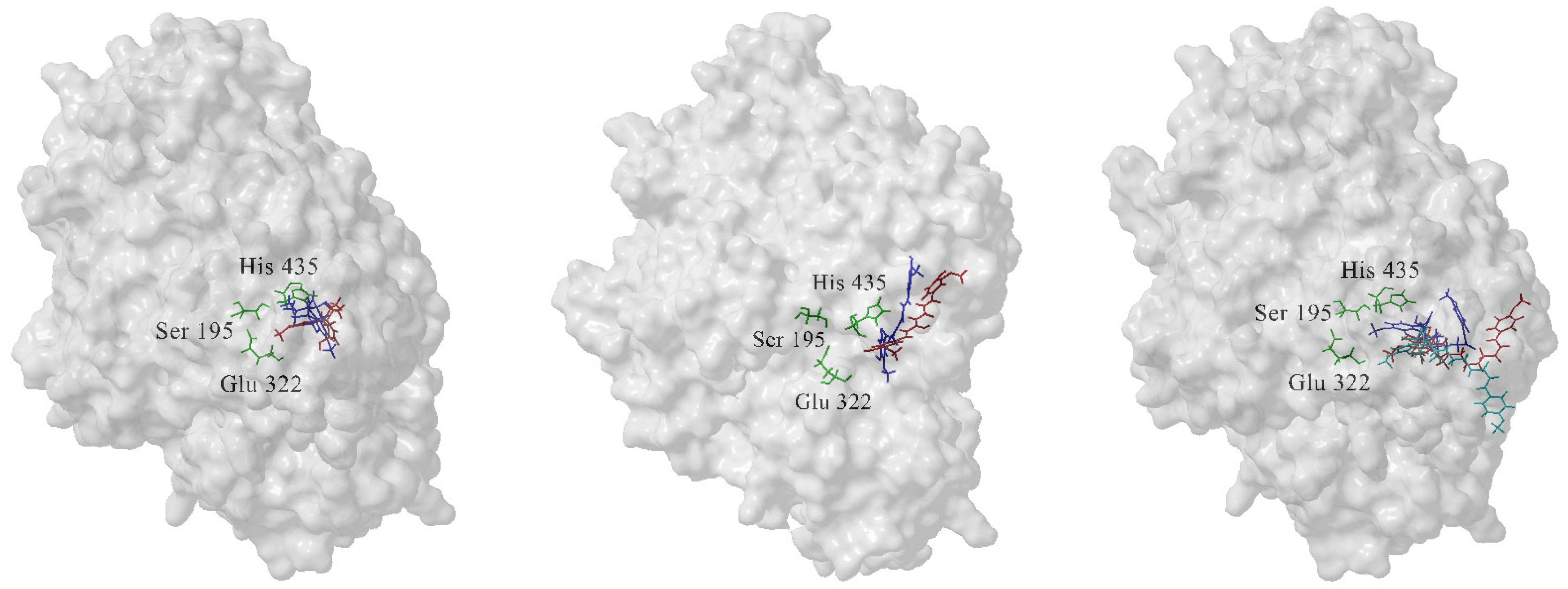 A Novel Galantamine–Curcumin Hybrid Inhibits Butyrylcholinesterase: A ...