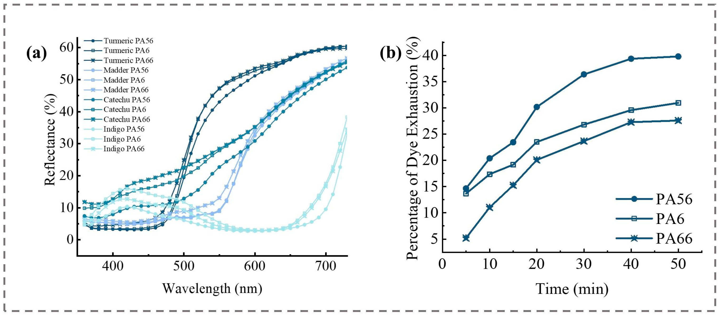 Insight into the Dyeability of Bio-Based Polyamide 56 by Natural Dyes