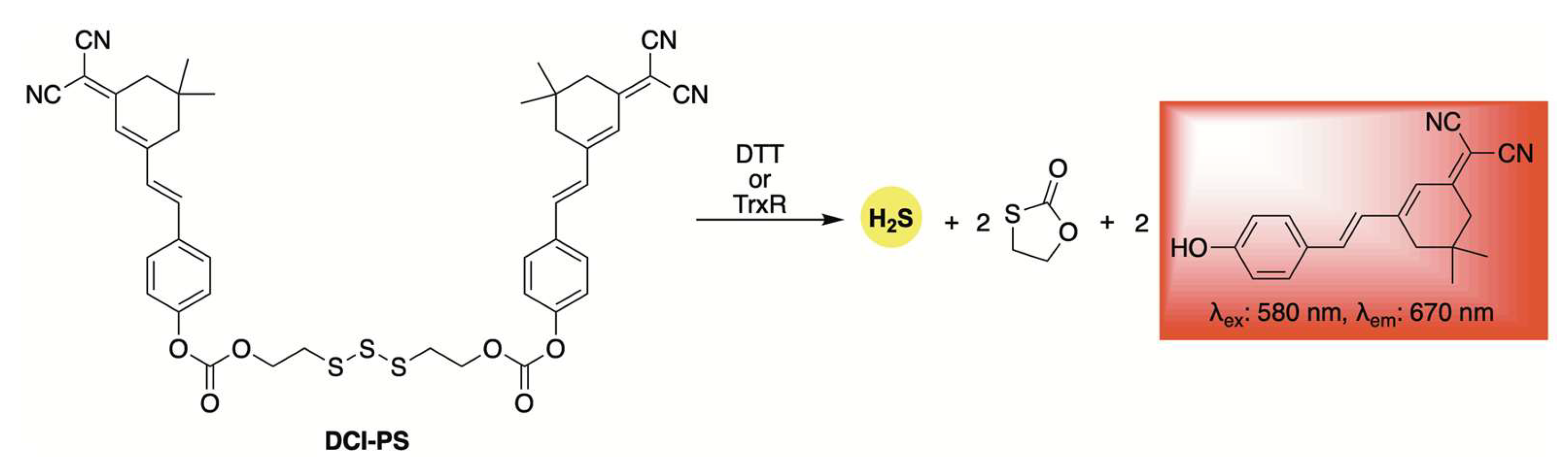 Self-Reporting H2S Donors: Integrating H2S Release with Real-Time Fluorescence Detection