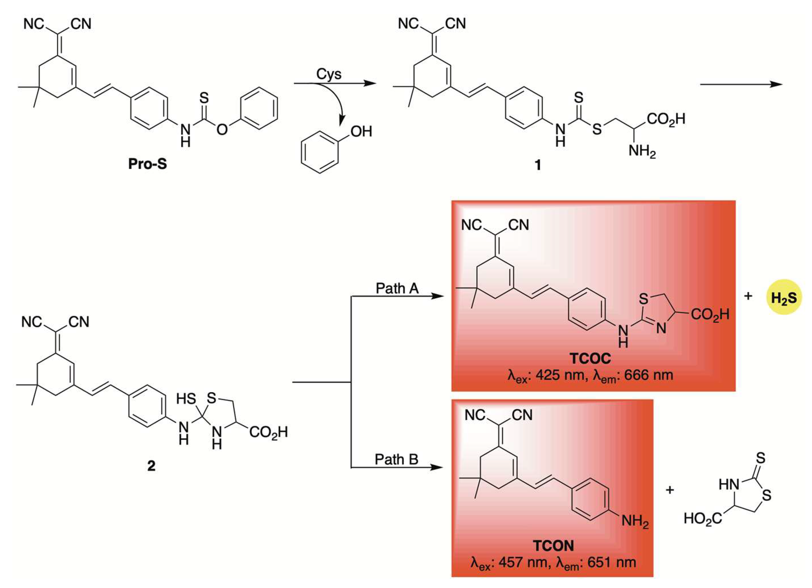 Self-Reporting H2S Donors: Integrating H2S Release with Real-Time Fluorescence Detection