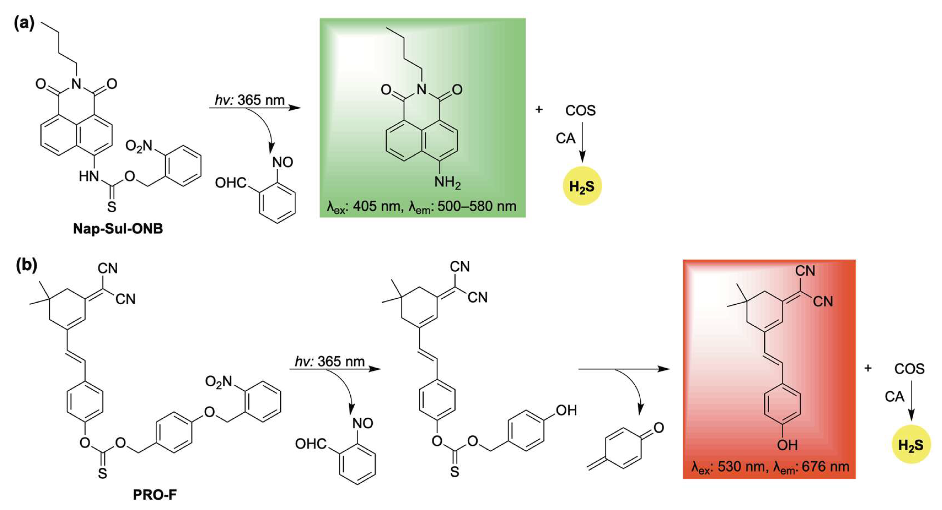 Self-Reporting H2S Donors: Integrating H2S Release with Real-Time Fluorescence Detection