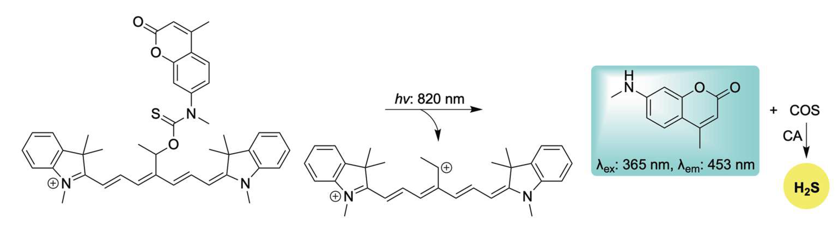 Self-Reporting H2S Donors: Integrating H2S Release with Real-Time Fluorescence Detection