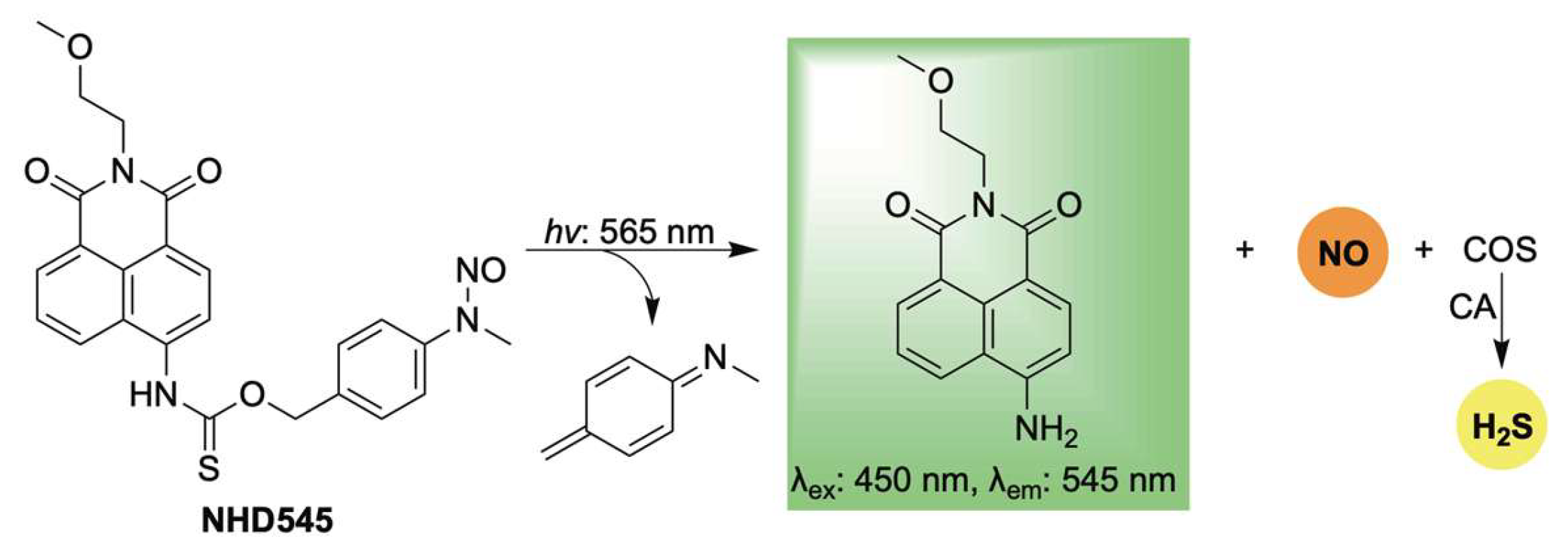 Self-Reporting H2S Donors: Integrating H2S Release with Real-Time Fluorescence Detection