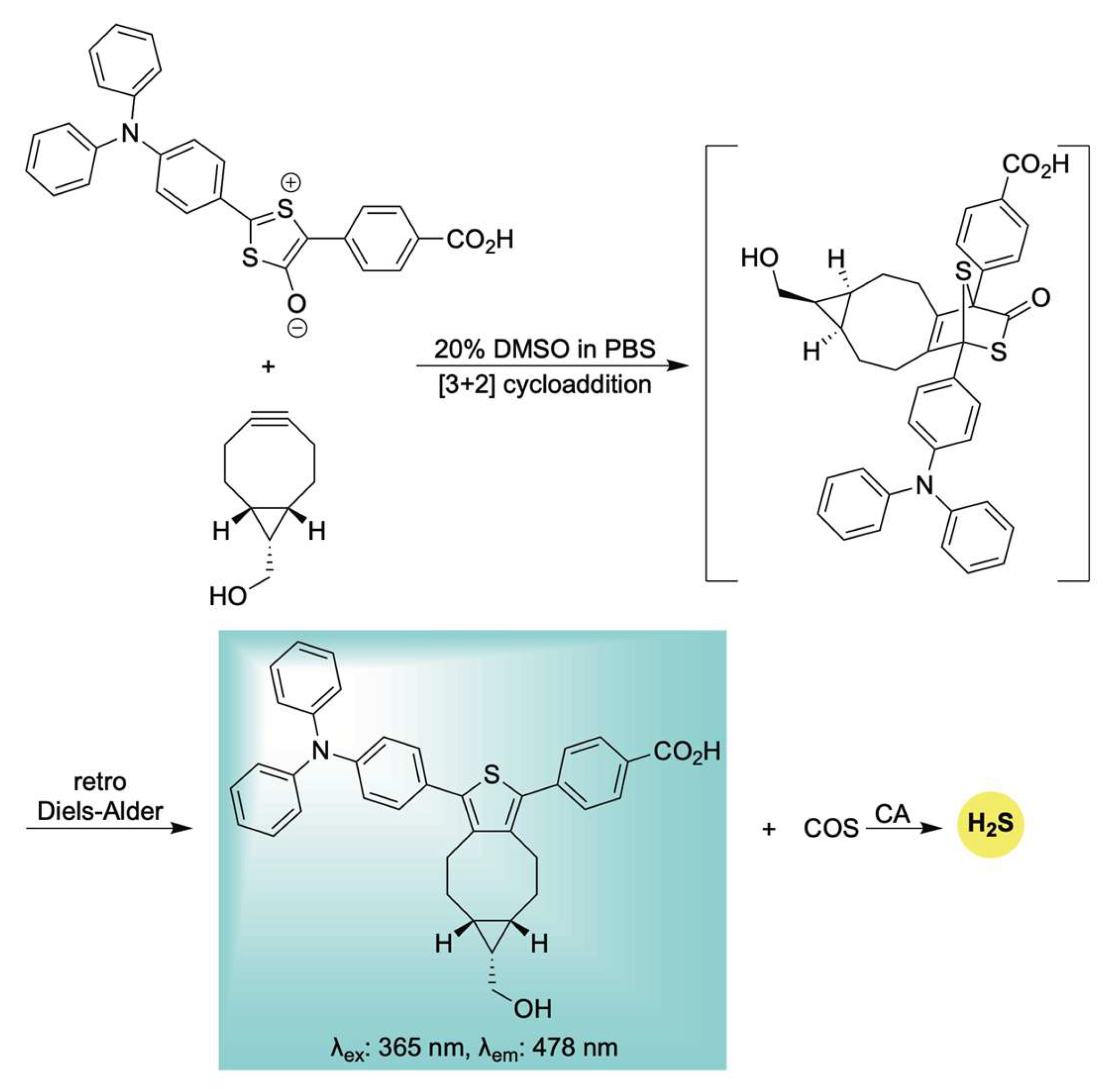 Self-Reporting H2S Donors: Integrating H2S Release with Real-Time Fluorescence Detection