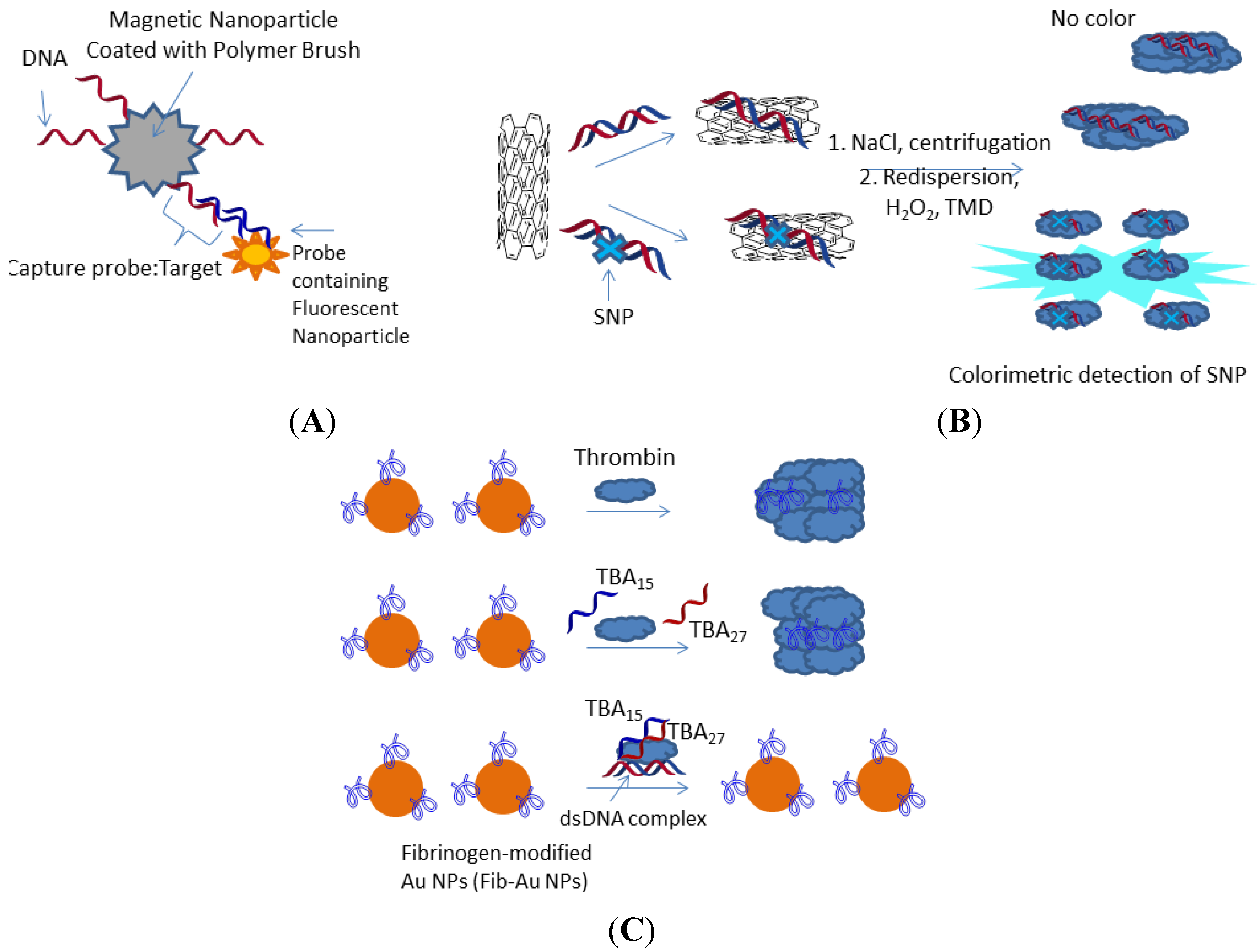 Chemosensors | Free Full-Text | Toward Non-Enzymatic Ultrasensitive ...