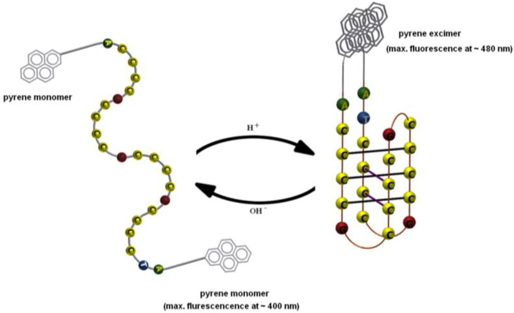 Steady-State Fluorescence and Lifetime Emission Study of pH-Sensitive ...