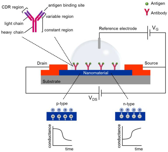 Chemosensors | Special Issue : Electrochemical Immunosensors and ...
