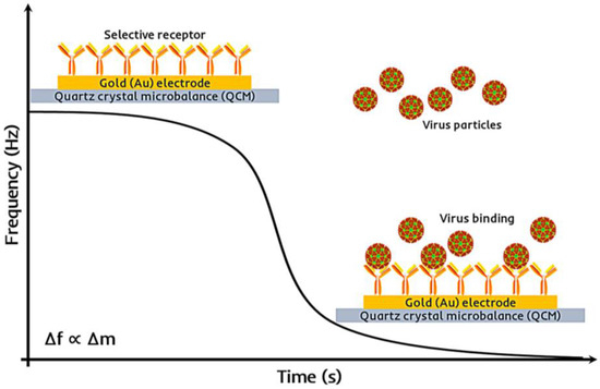 Gravimetric Viral Diagnostics: QCM Based Biosensors for Early Detection ...