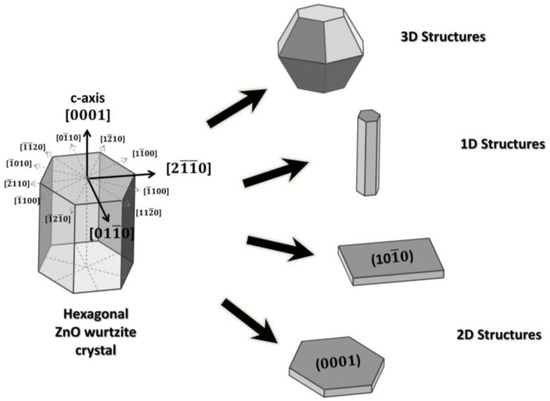 Chemosensors | Free Full-Text | Two-Dimensional Zinc Oxide Nanostructures for Gas Sensor ...