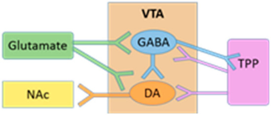 Recent Advances in the Detection of Neurotransmitters