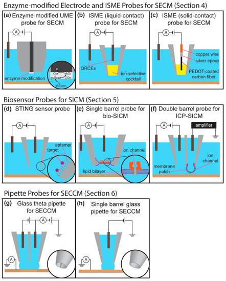 Advances and Perspectives in Chemical Imaging in Cellular Environments ...