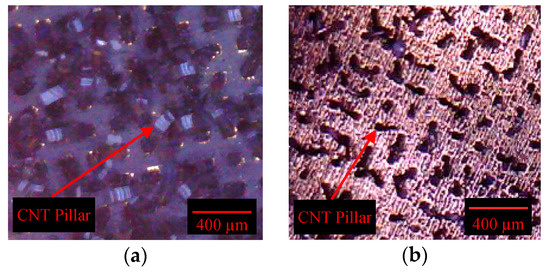 Characterization of a Novel Polypyrrole (PPy) Conductive Polymer Coated ...