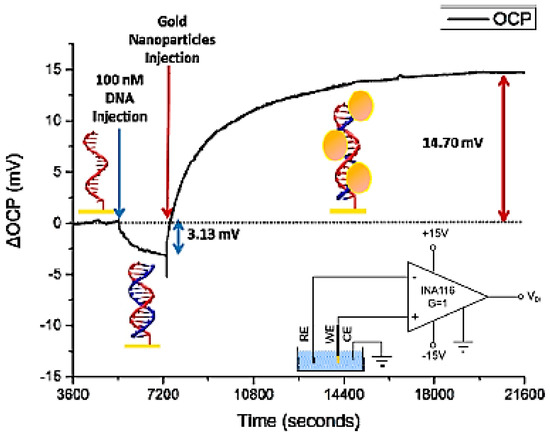 Chemosensors | Free Full-Text | Microfluidic Devices for Label-Free DNA Detection