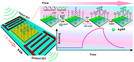 Chemosensors | Free Full-Text | Microfluidic Devices for Label-Free DNA Detection