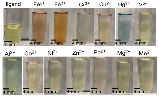 Colorimetric Detection of Multiple Metal Ions Using Schiff Base 1-(2 ...
