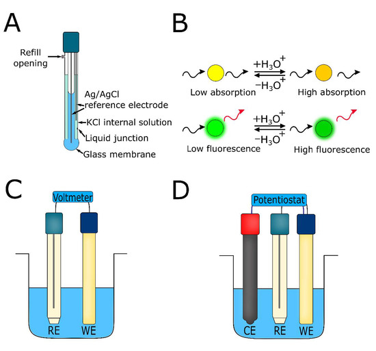 Recent Advances in Optical, Electrochemical and Field Effect pH Sensors