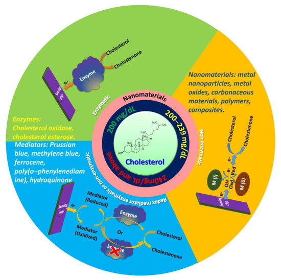 Recent Development in Nanomaterial-Based Electrochemical Sensors for ...