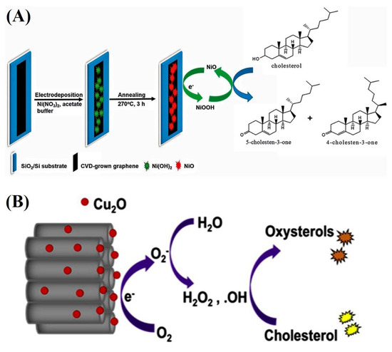 Recent Development in Nanomaterial-Based Electrochemical Sensors for ...