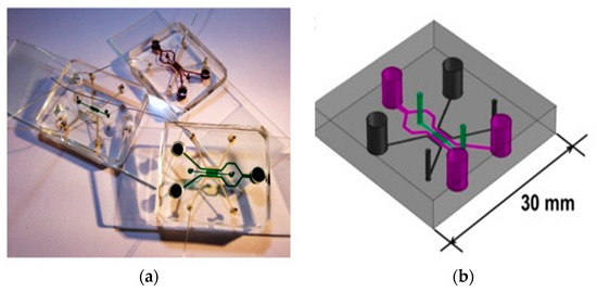 Chemosensors | Free Full-Text | Advances in Wearable Chemosensors