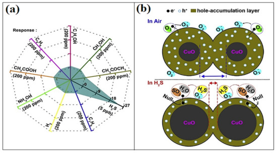 CuxO Nanostructure-Based Gas Sensors for H2S Detection: An Overview