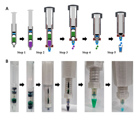 A Syringe-Based and Centrifugation-Free DNA Extraction Procedure for ...