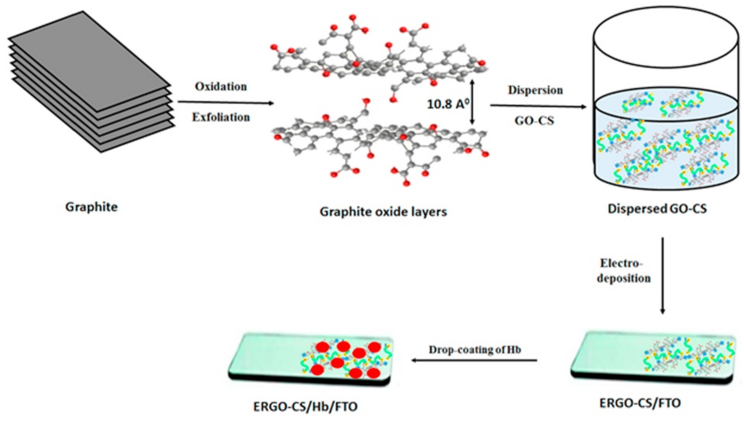 Recent Advances in Electrochemical Chitosan-Based Chemosensors and ...