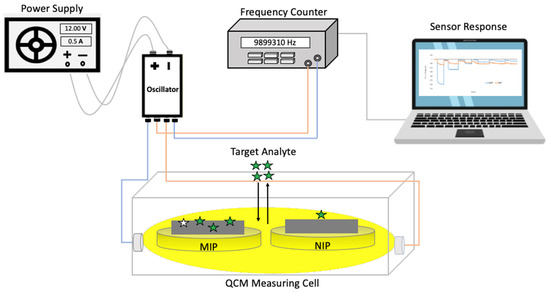 Development of a MIP-Based QCM Sensor for Selective Detection of ...