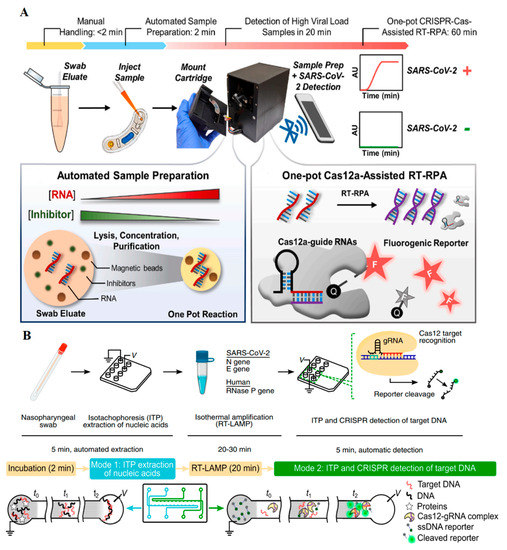 CRISPR-Powered Microfluidics in Diagnostics: A Review of Main Applications