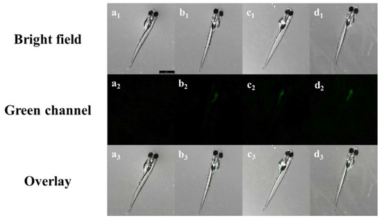 Chemosensors | January 2022 - Browse Articles