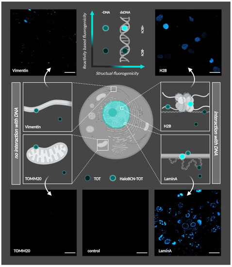 Chemosensors | January 2022 - Browse Articles