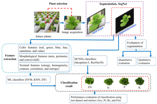 Using Deep Convolutional Neural Network for Image-Based Diagnosis of Nutrient Deficiencies in ...